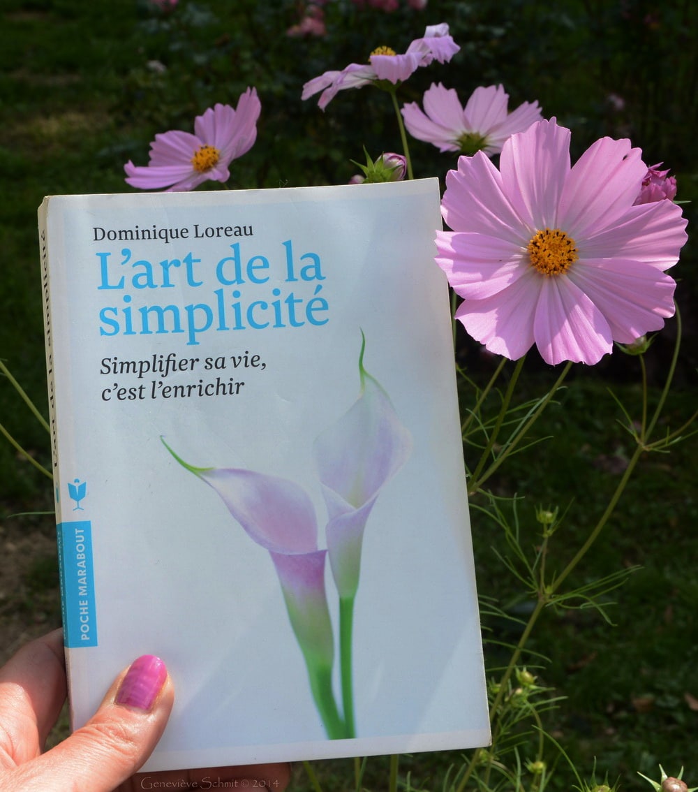 L'art de la simplicité - Violences conjugales - Manipulateurs pervers ...